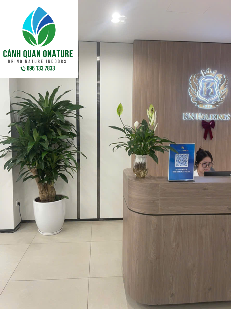 Nhật Ký Chăm Cây Onature – Gieo Xanh Từng Góc Nhỏ, Nâng Niu Trọn Không Gian